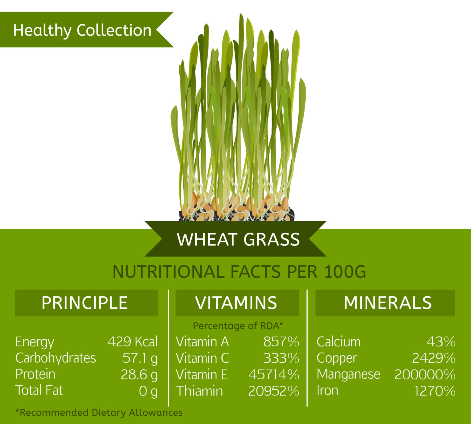 10 Best Wheatgrass Juice Powder in 2022. (Read Before You Buy!)