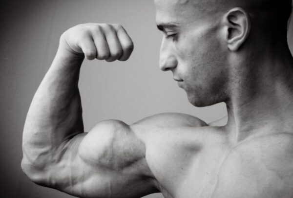 11 Top Long Head Bicep Exercises For Massive Peak Exercise With Style