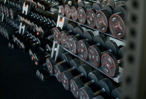 Arnold Split: Arnold’s 13 Best Training Methods for Muscle Growth