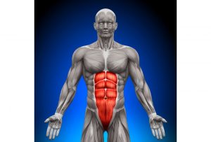 Top 10 Weighted Ab Workouts I Best Ab Exercises & Complete Workout Program