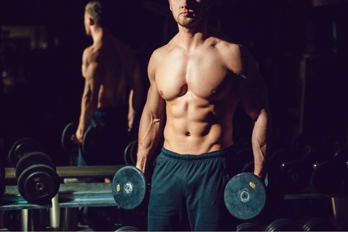 Printable 12 Week Dumbbell Workout Plan PDF Dumbbell Only Workout Program