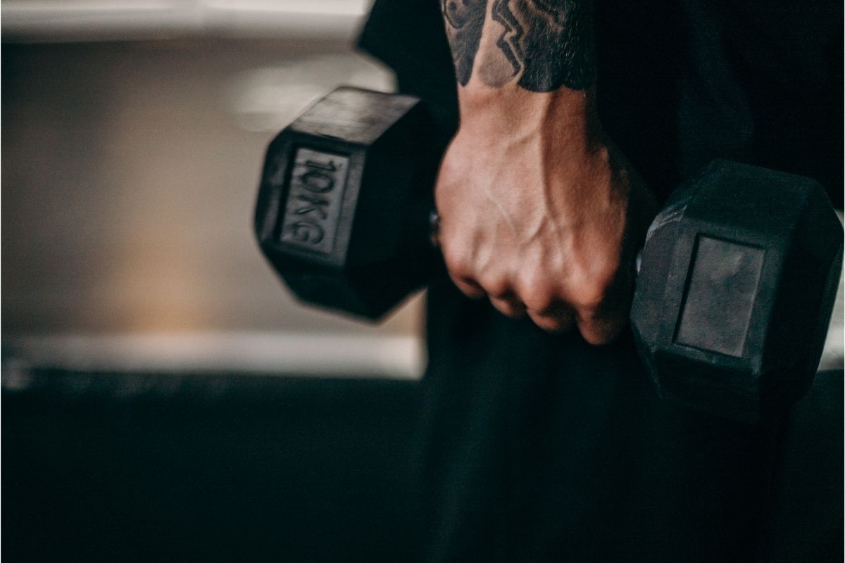 Printable 12 Week Dumbbell Workout Plan PDF: Dumbbell Only Workout Program