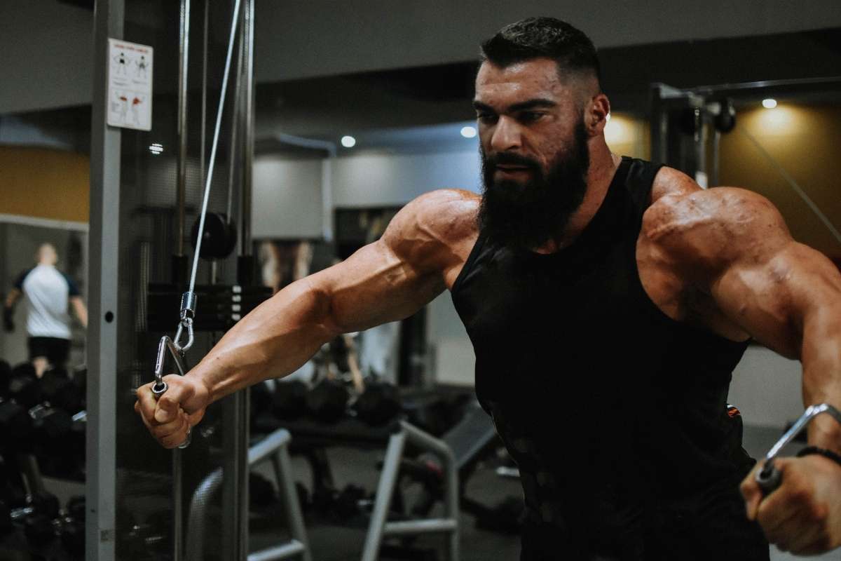 The Complete Bro Split Workout Plan With PDF