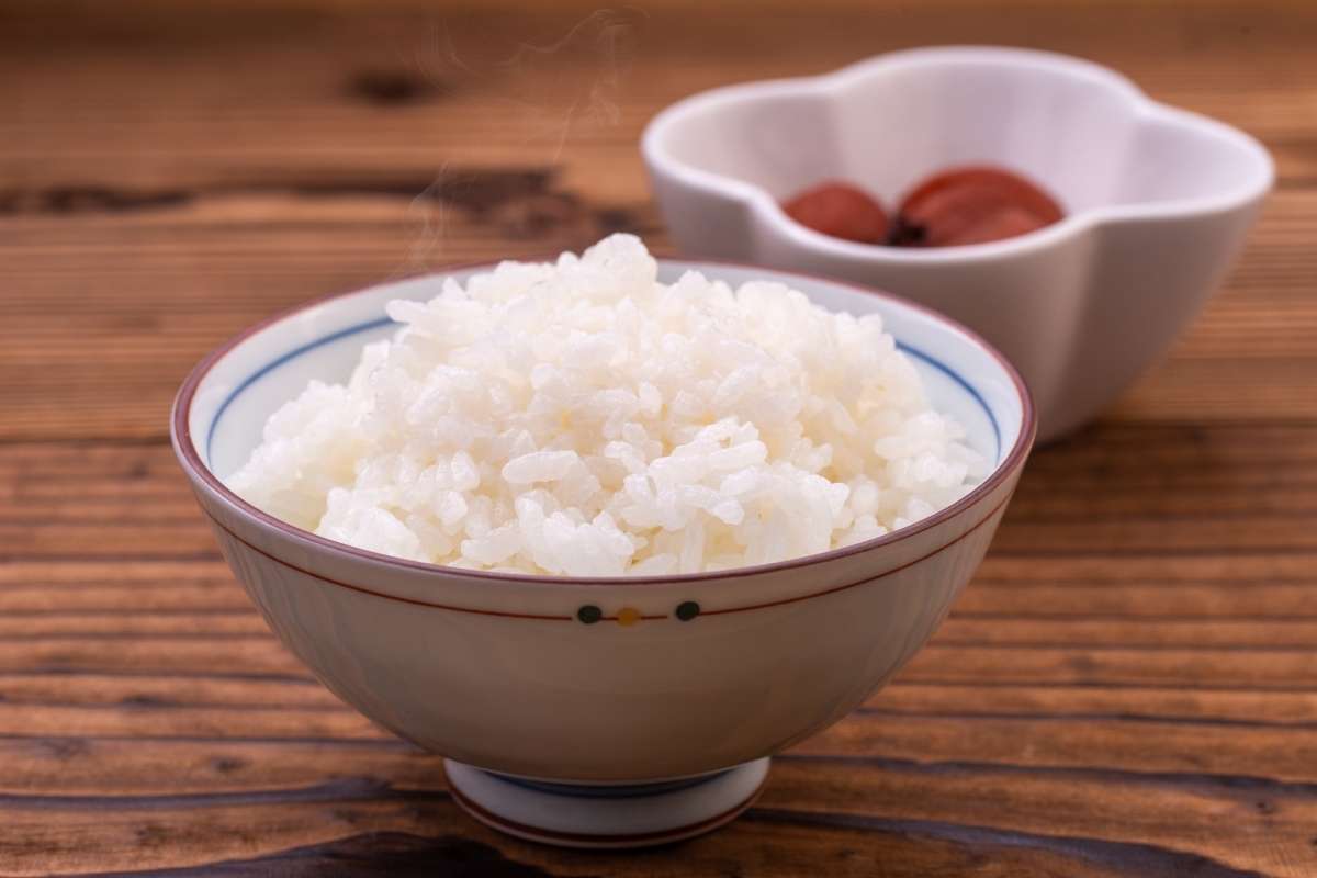 What is the Vertical Diet I Pros, Cons, and Sample Meal Plan