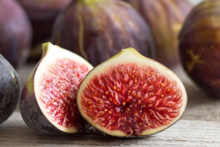 Sylvester Stallone Workout Routine And Diet Plan