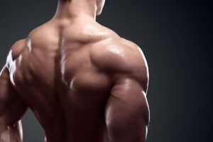 Top 10 Middle Back Exercises - Build Stronger Back Muscles