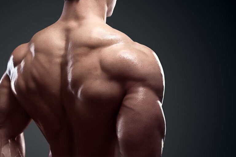 Top 10 Middle Back Exercises - Build Stronger Back Muscles