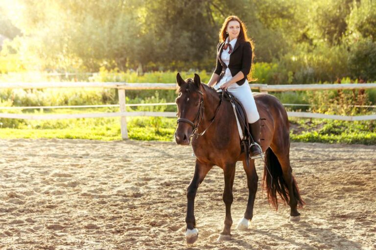 Bella Hadid Workout Routine And Diet Plan 2024