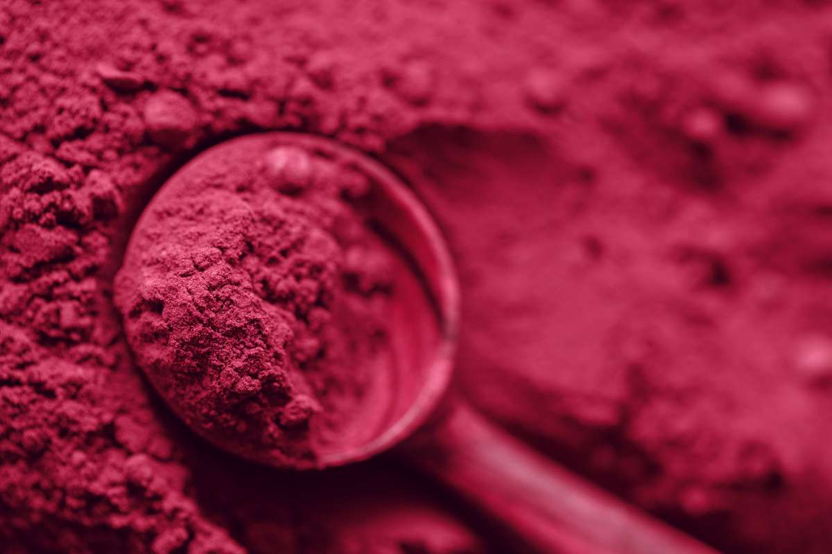 Dr. Gundry Vital Reds Review, Supplement Benefits, Price and Alternatives