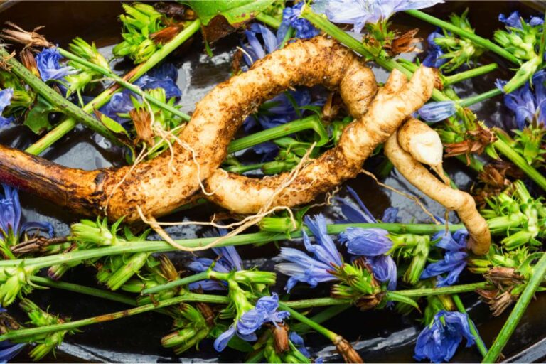 Multi GI 5 Reviews: Is It The Right Probiotic For Gut Healing?