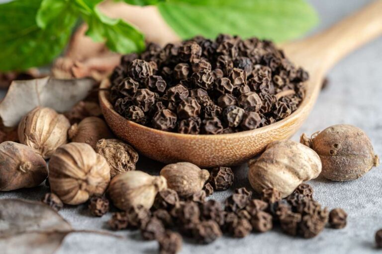 Multi GI 5 Reviews: Is It The Right Probiotic For Gut Healing?