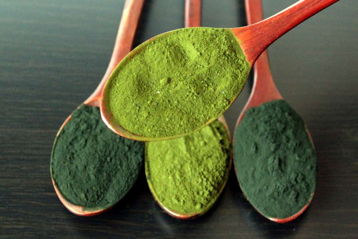 Primal Greens Vs. Athletic Greens: Which Superfood Supplement Reigns ...