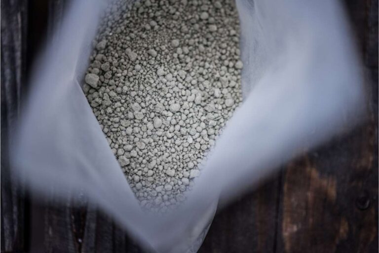 Primal Total Cleanse Review: Does It Deliver Results?