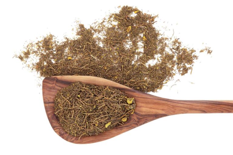 Primal Total Cleanse Review: Does It Deliver Results?