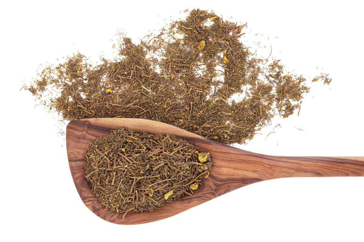 Primal Total Cleanse Review: Does It Deliver Results?