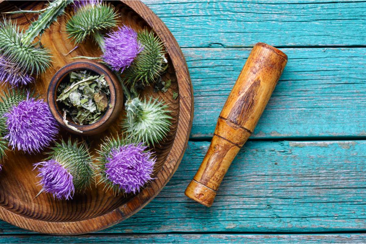 15 Super Greens Benefits: Discovering The Advantages Of These Nutrient ...