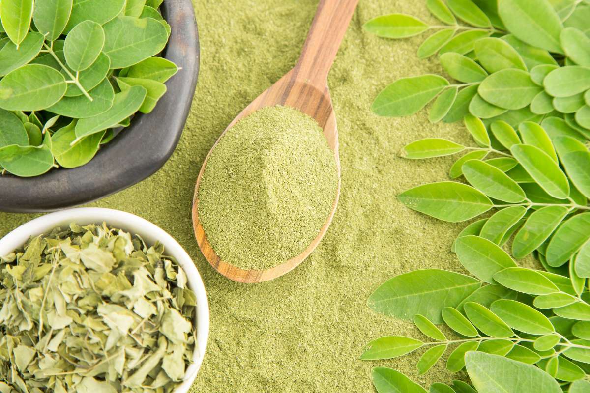 What Are The Top Moringa Benefits For Women? A Comprehensive Guide