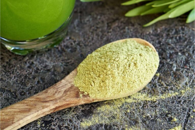 Primal Greens Vs Beyond Greens: Unleashing The Superfood Battle Primal Greens Vs Beyond Greens: Unleashing The Superfood Battle