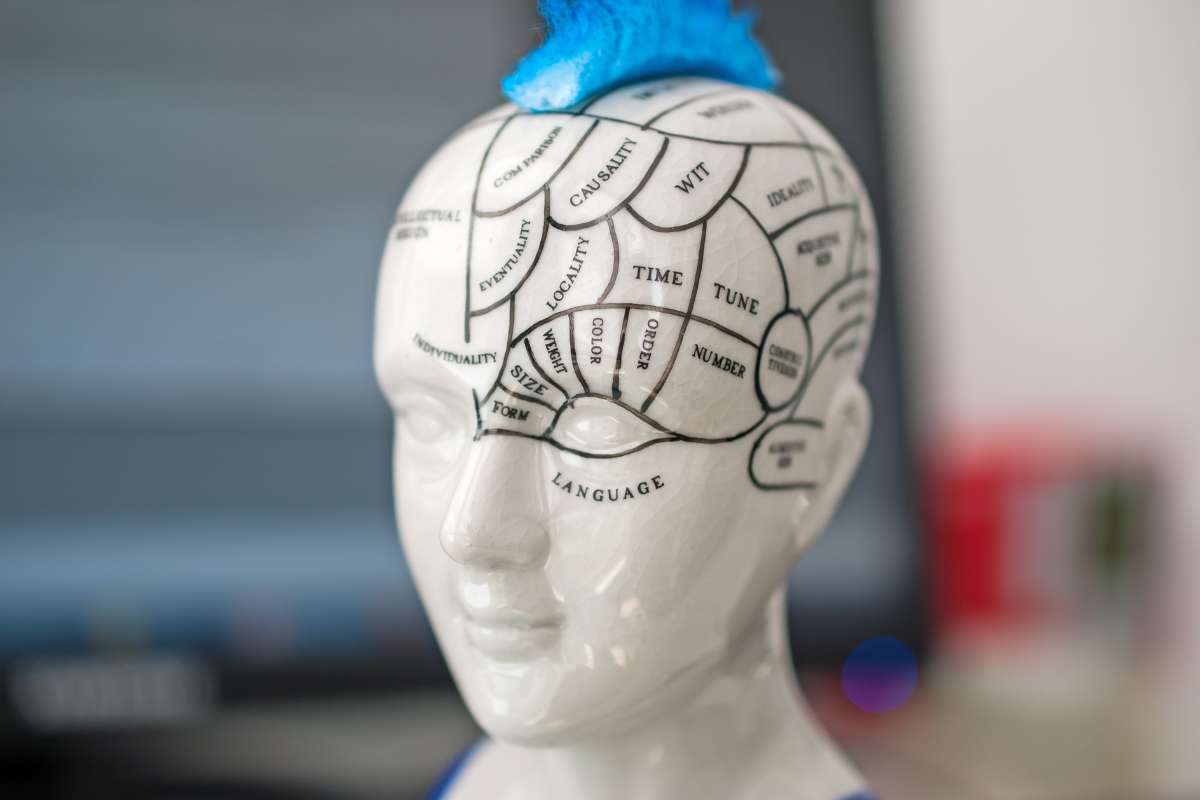 Unveiling Primal Mind Fuel Reviews: Firing Up Cognitive Power