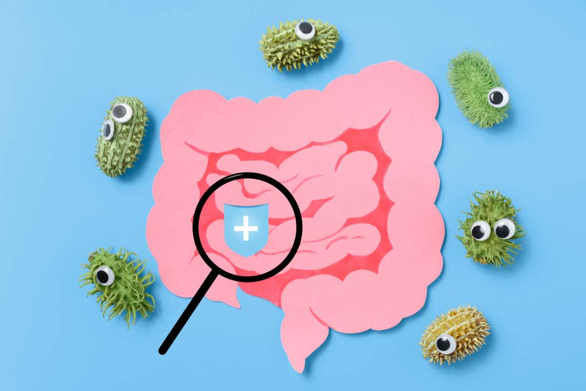 Primal Probiotics Reviews: Cultivating A Healthy Microbiome