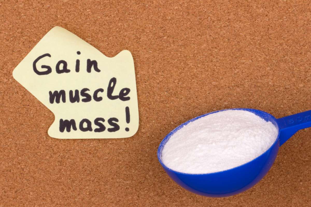 From Skinny To Buff: Is It Possible To Transform Your Physique?