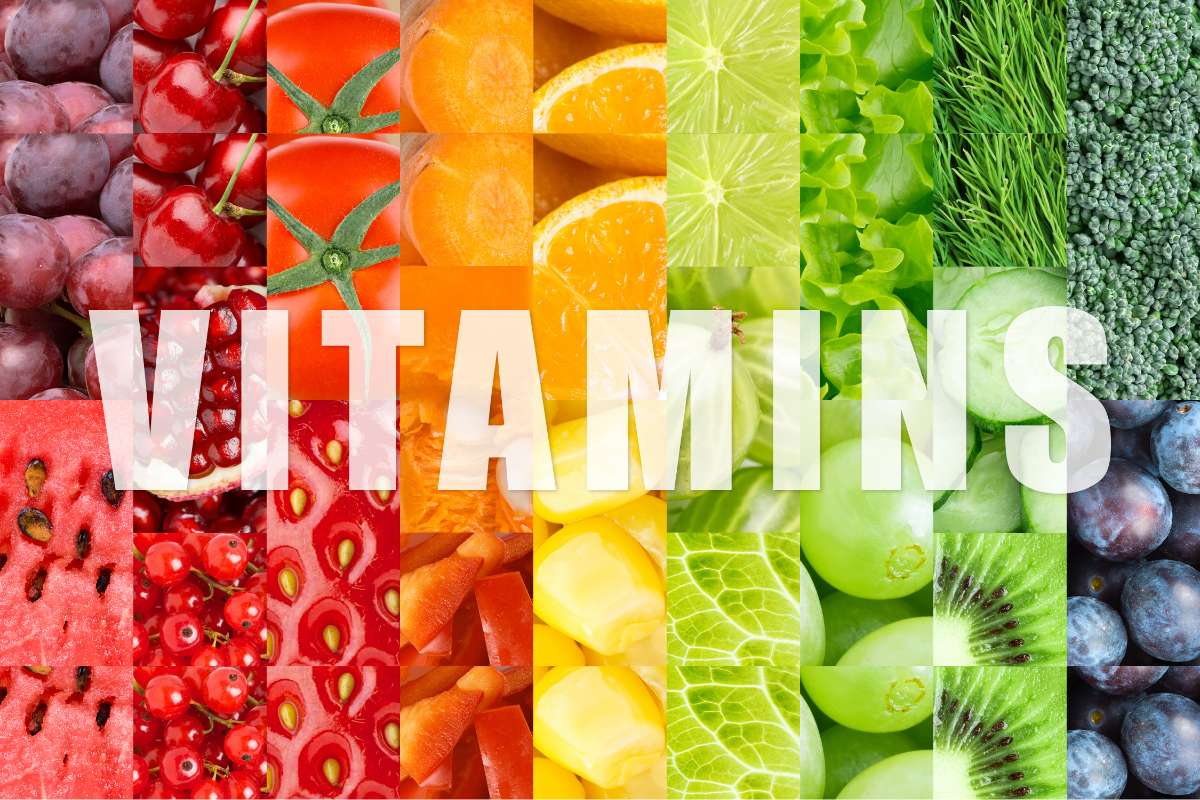 Lyfe Fuel Reviews: Unleashing The Power Of Clean Nutrition