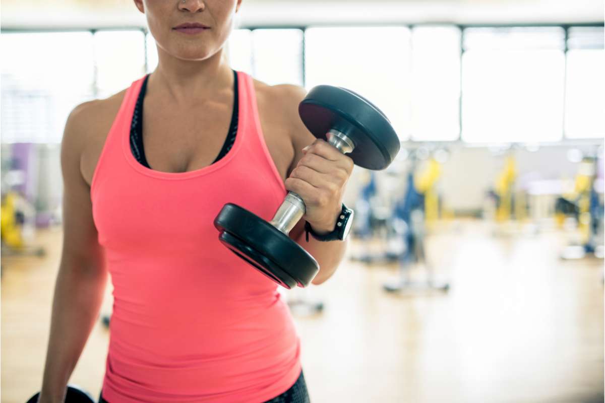 2500 Calorie Meal Plan PDF: Printable Recipes and Nutritional Facts