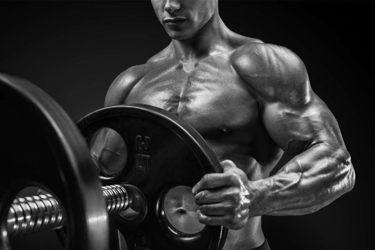 Dorian Yates Workout Routine And Diet Plan 2026
